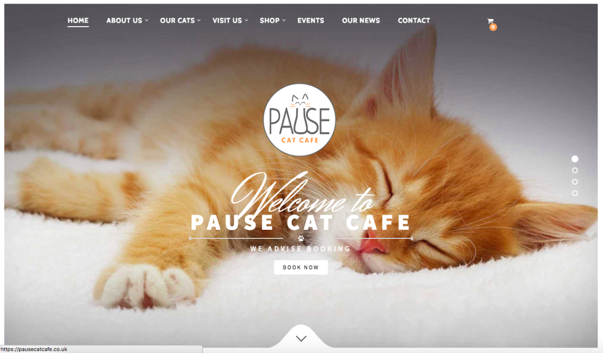 150 Amazing Restaurant Website Design Examples – CandyBar