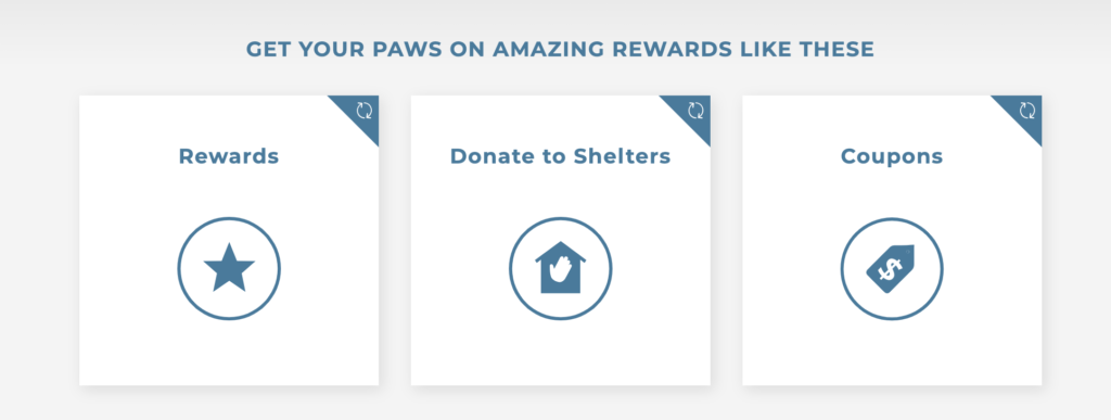 Points, Perks and Puppers: 5 Best Pet Store Loyalty Programs – CandyBar