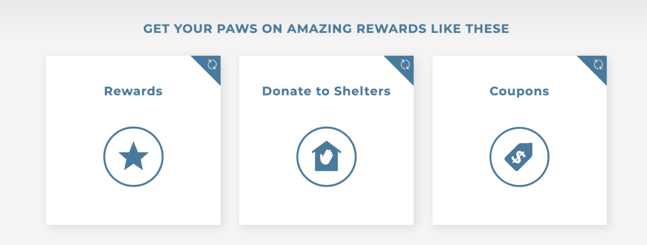 Points, Perks and Puppers: 5 Best Pet Store Loyalty Programs – CandyBar