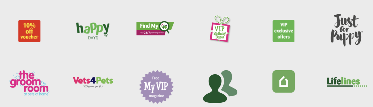 Points, Perks and Puppers: 5 Best Pet Store Loyalty Programs – CandyBar